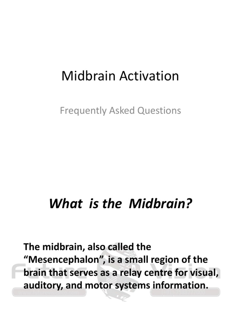 MiD Brain Activation | Download Free PDF | Brain | Lateralization Of ...