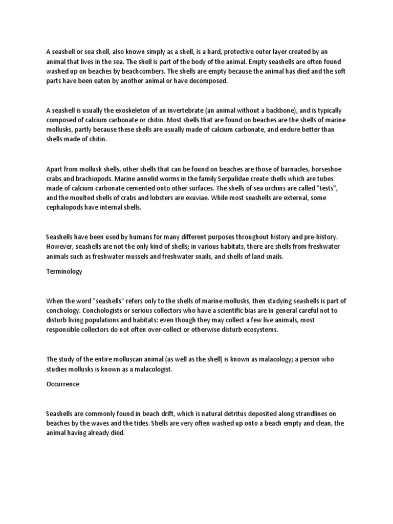 A Seashell or Sea Shell | PDF | Bivalvia | Molluscs