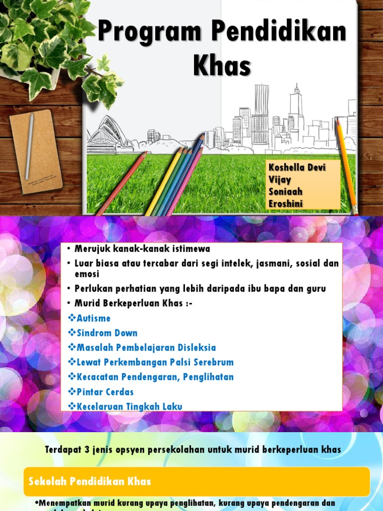 Program Pendidikan Khas | PDF