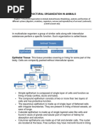 Biology Reviewer Grade 12 STEM First Semester | PDF | Meiosis | Mitosis