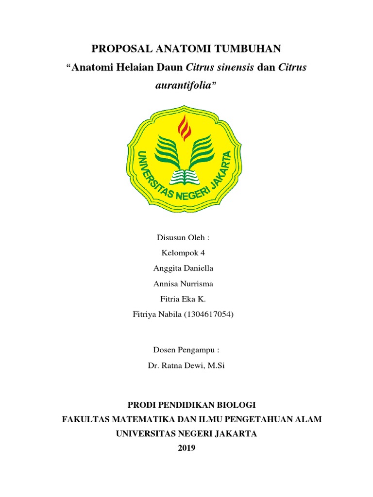 Anatomi Daun Jeruk: Citrus sinensis vs aurantifolia | PDF