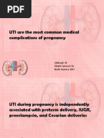 ACOG Clinical Consensus - UTIs in Pregnant Individuals | PDF | Urinary ...