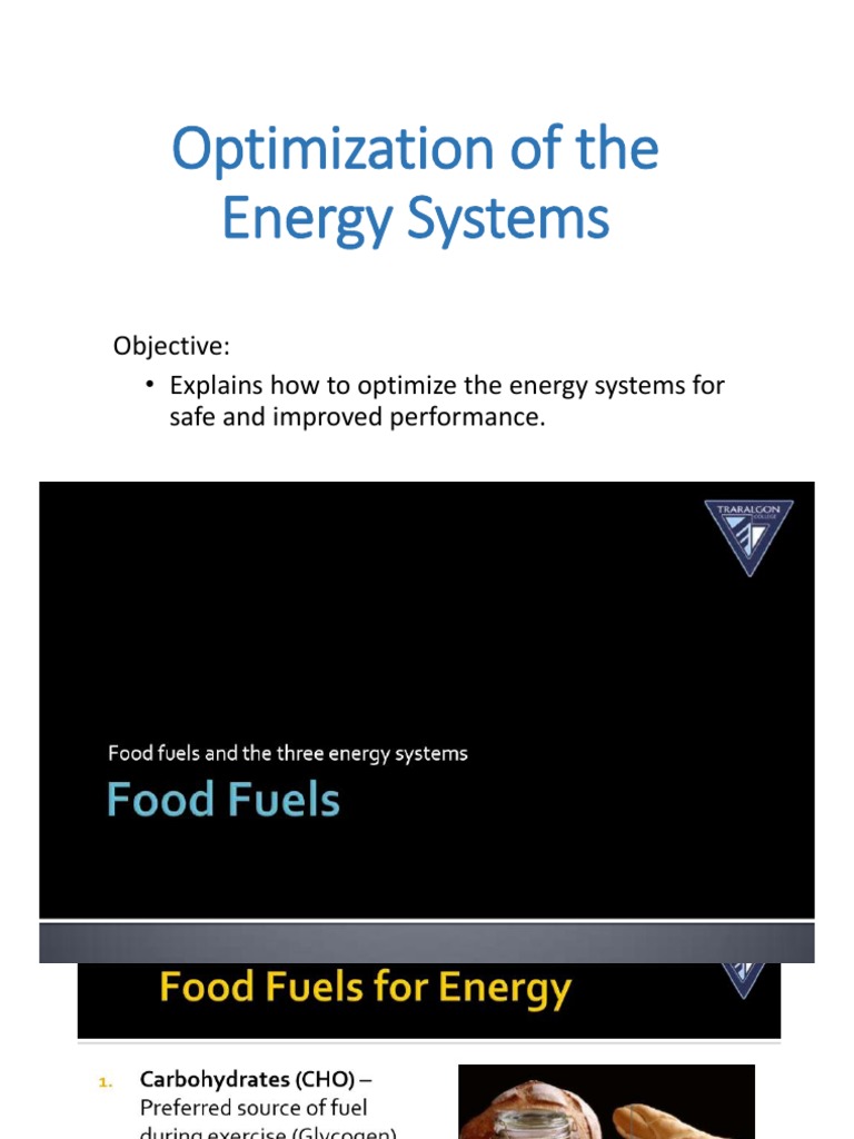 Energy Systems Optimization Explained | PDF