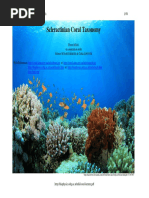 Coral Identification Guide for Divers | PDF | Coral | Coral Reef
