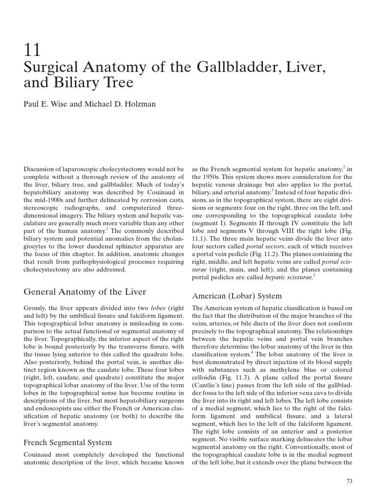 Surgical Anatomy of The Gallbladder Liver and Biliary Tree | PDF ...
