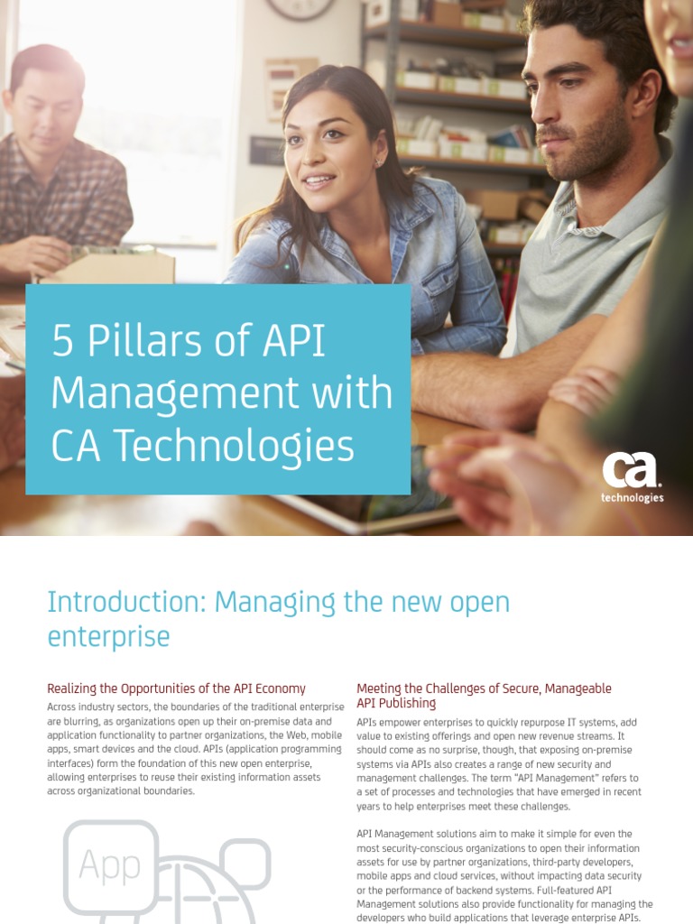 5 Pillars of API Management | PDF | Application Programming Interface ...