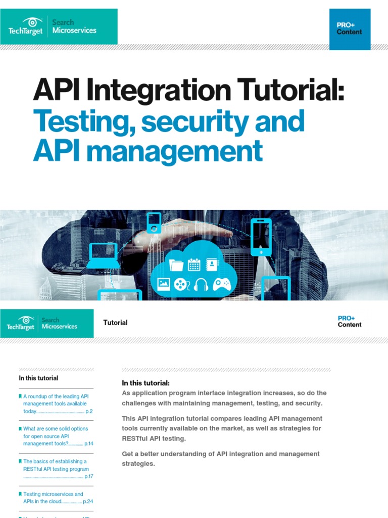 Api Integration Tutorial Pdf Hypertext Transfer Protocol Cloud Computing