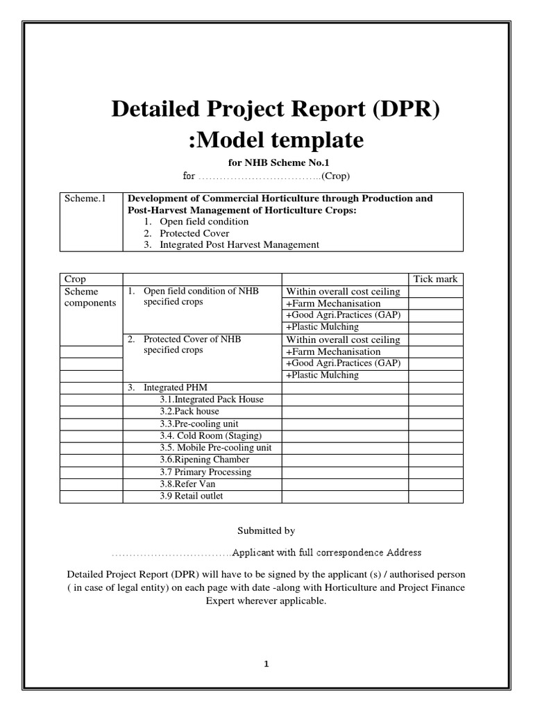 Generic DPR Template Scheme 1 PDF | PDF | Internal Rate Of Return | Net ...