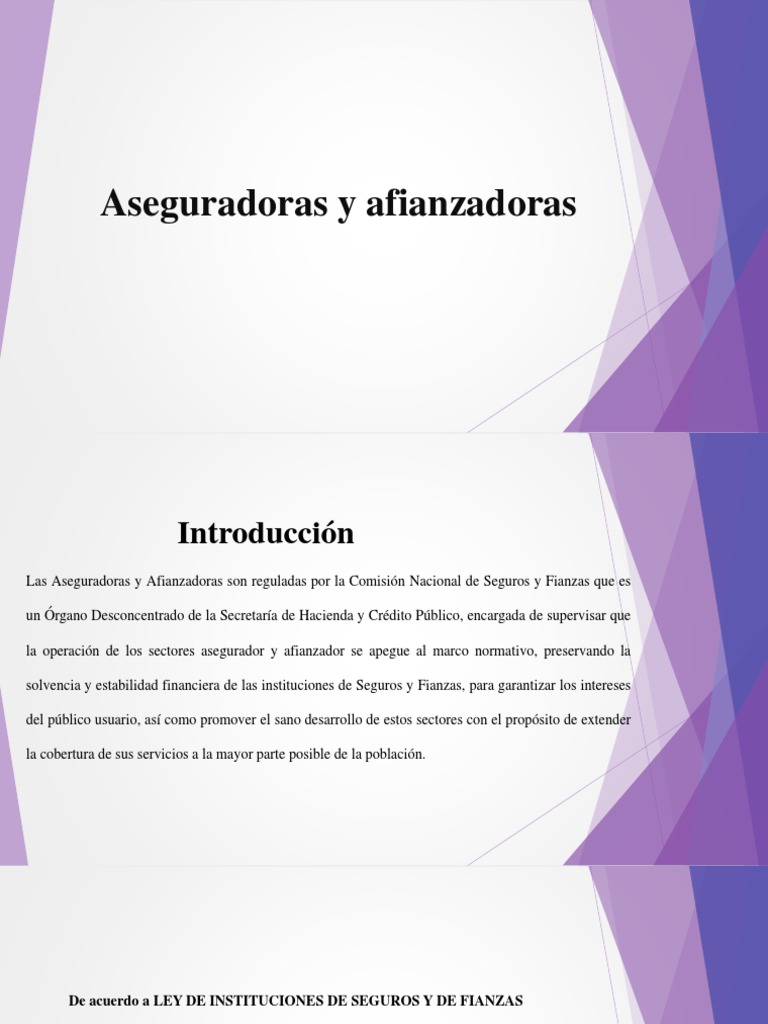 Aseguradoras y Afianzadoras | PDF | Póliza de seguros | Seguro