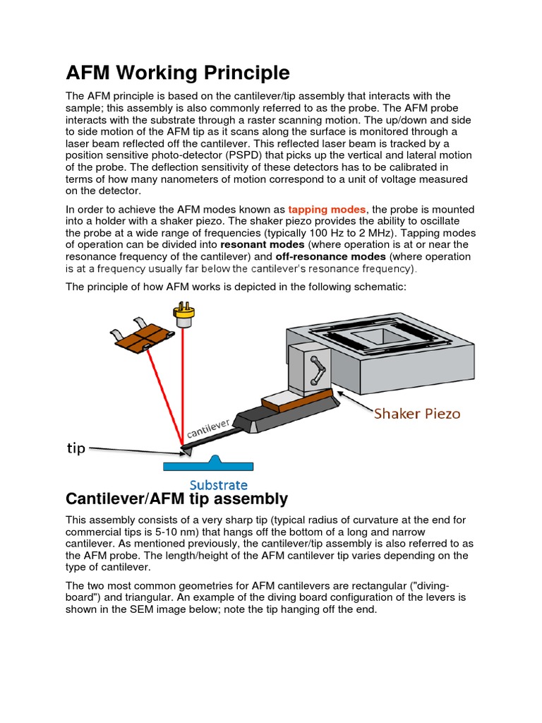 An In-Depth Look at the Working Principles of Atomic Force Microscopy ...