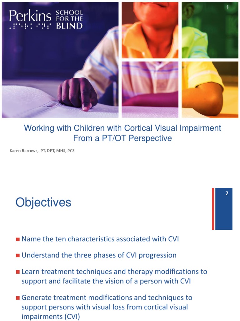 Webinar On CVI | PDF | Attention | Visual Perception