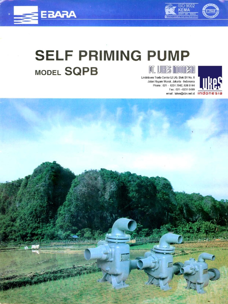Ebara Self Priming Pump - SQPB PDF | PDF