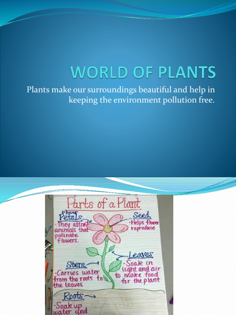 Plants Make Our Surroundings Beautiful and Help in Keeping The ...