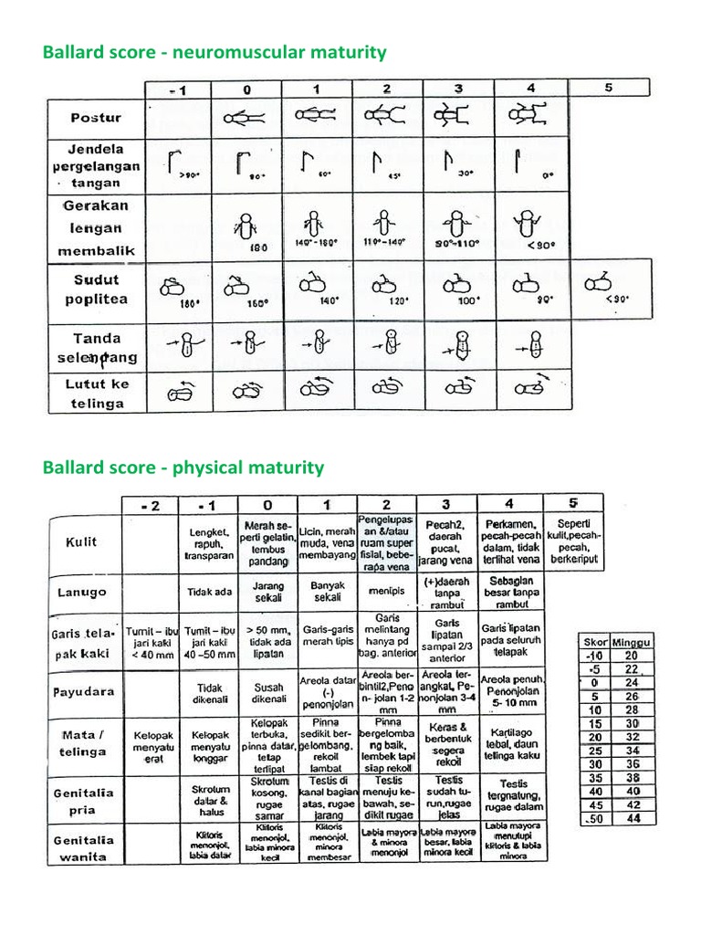 Ballard Score, Down Score, Apgar Score | PDF