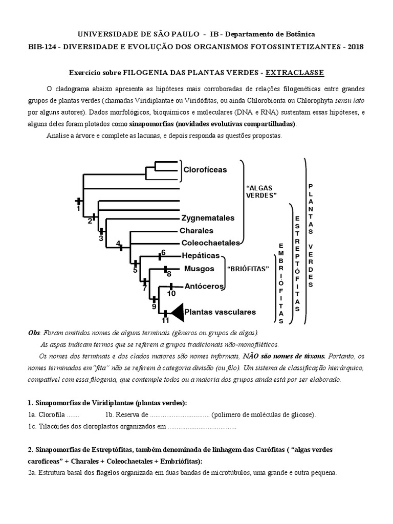E2 - Exercicio Filogenia de Plantas Verdes-2018 | PDF | Plantas | Musgo