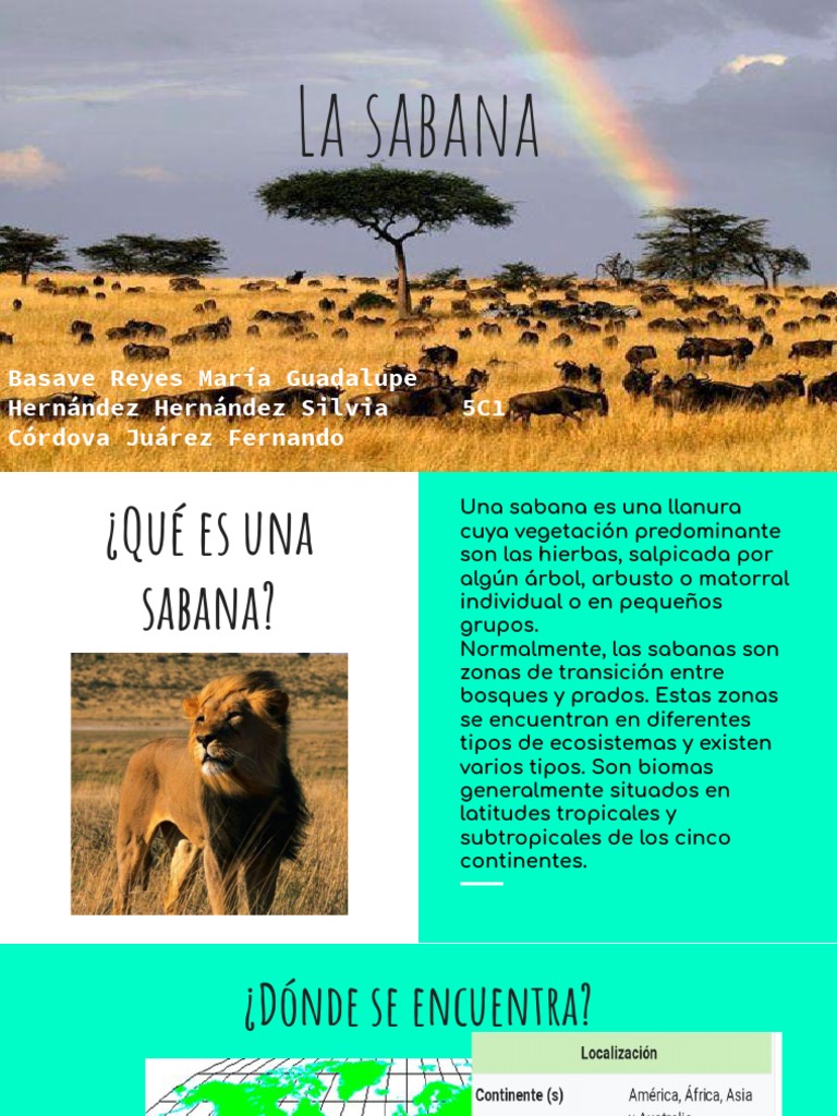 Sabana | PDF