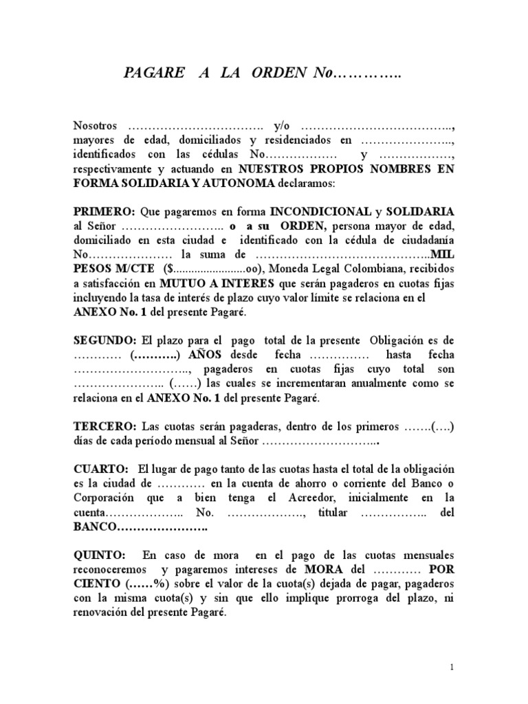Pagare A La Orden | PDF | Pagos