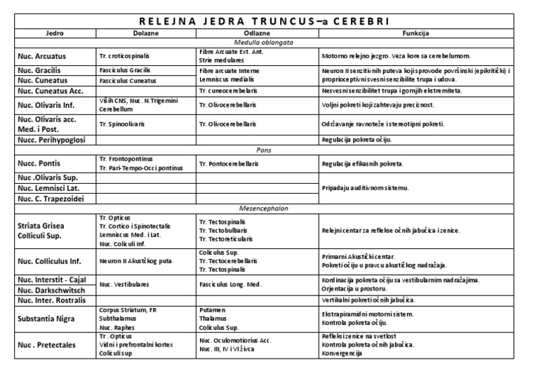 Relejna Jedra Truncusa PDF | PDF