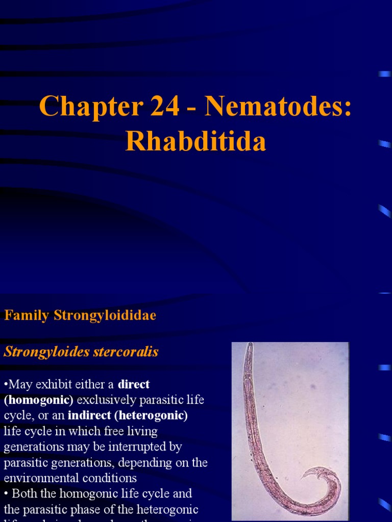 Chapter 24 - Nematodes: Rhabditida | PDF | Medical Specialties | Wellness