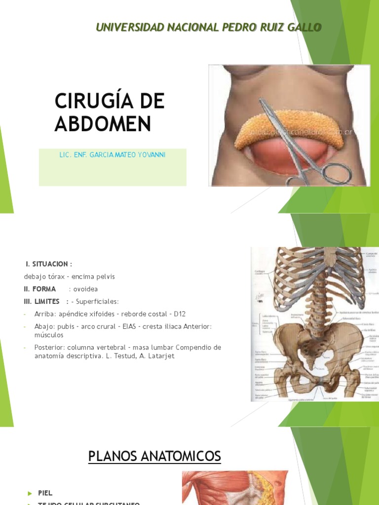 Diapositivas Cirugía Abd. | PDF | Abdomen | Anatomia animal