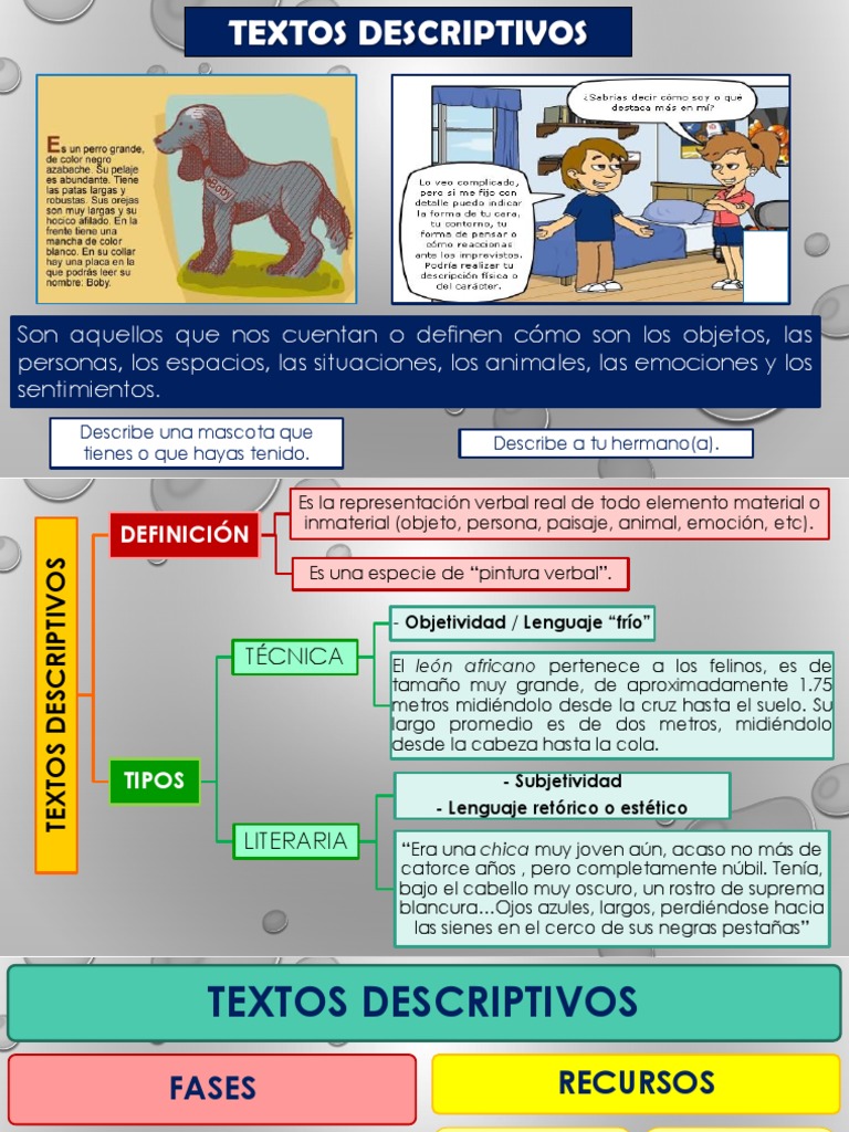 Textos Descriptivos | PDF | Retrato