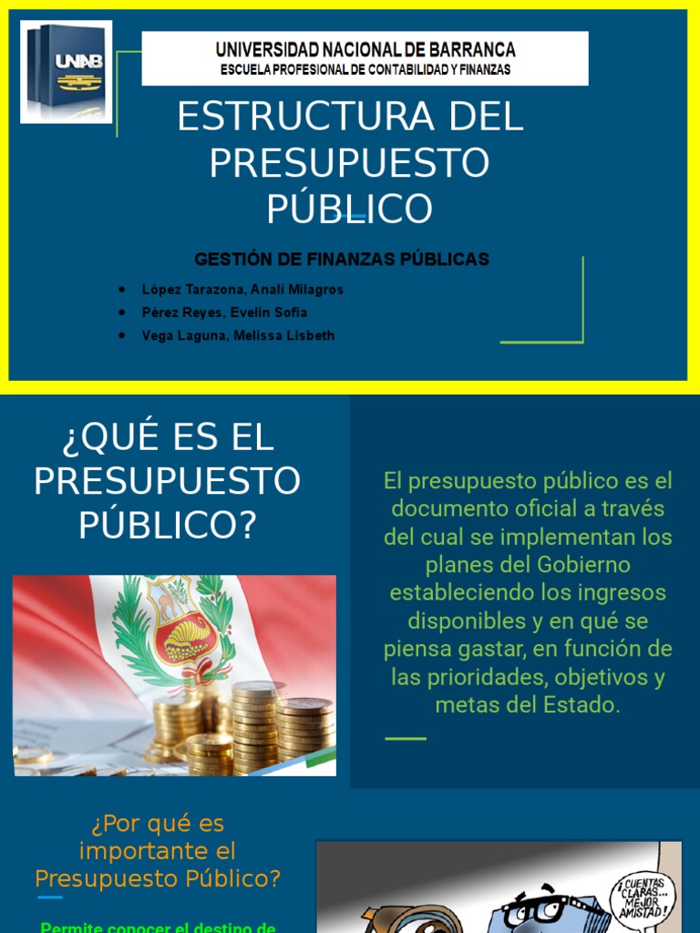 Estructura Del Presupuesto Público | PDF | Presupuesto del gobierno | Presupuesto