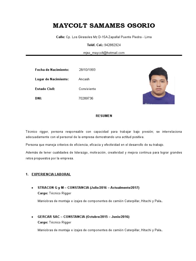 Curriculo Original.-1 Maycol | PDF