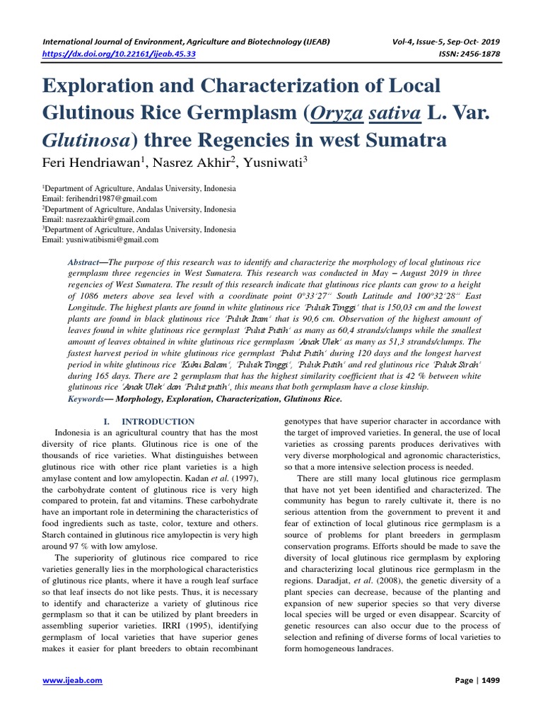 Characterization of Glutinous Rice Germplasm | PDF | Rice | Plant Breeding