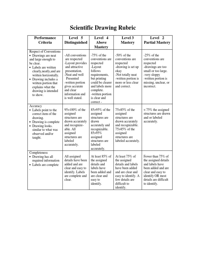 Scientific Drawing Rubric | Download Free PDF | Cognition | Cognitive ...