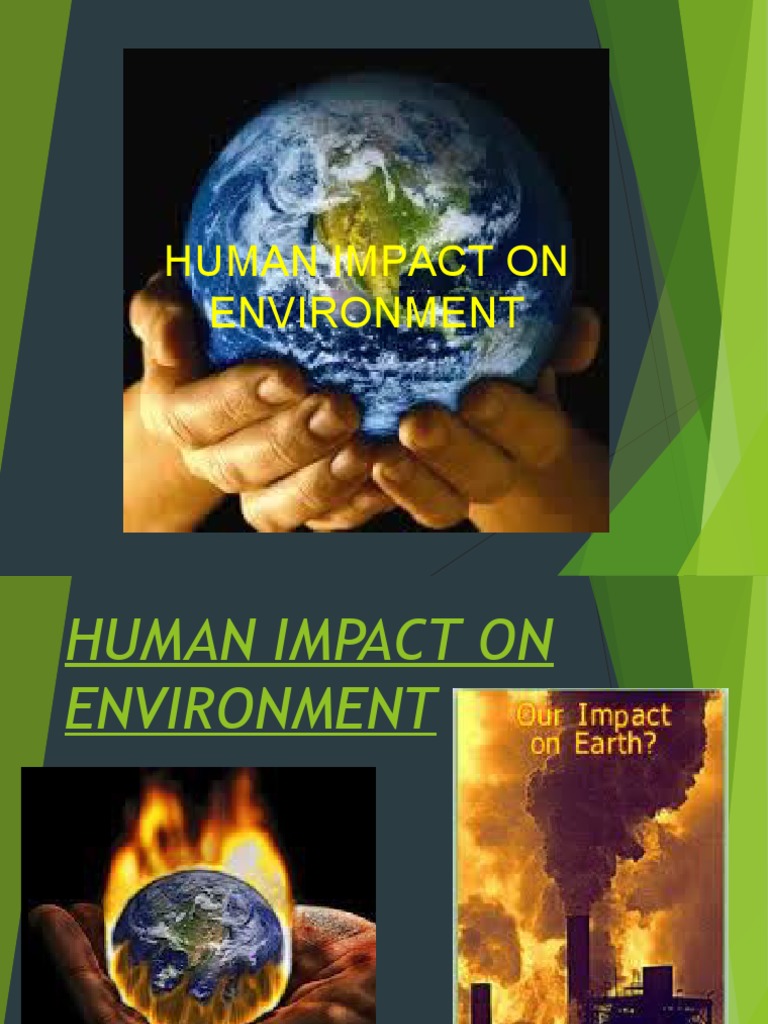 Human Impact On Environment | PDF | Human Impact On The Environment | Waste