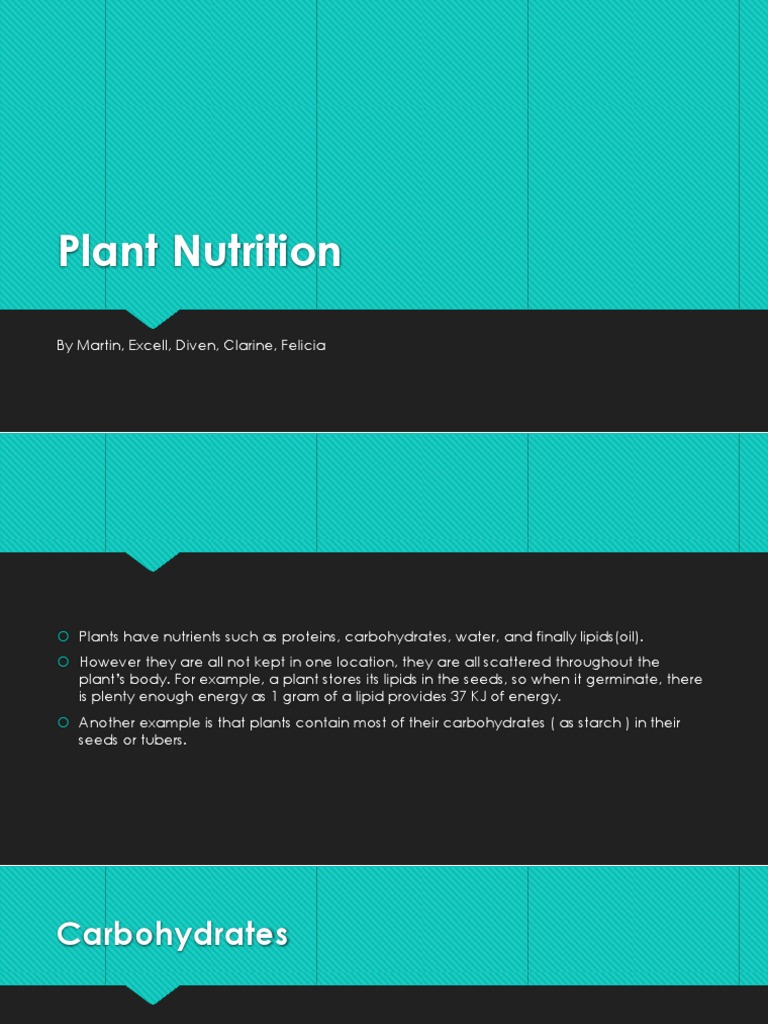 Plant Nutrition Biology Project | PDF | Carbohydrates | Plants