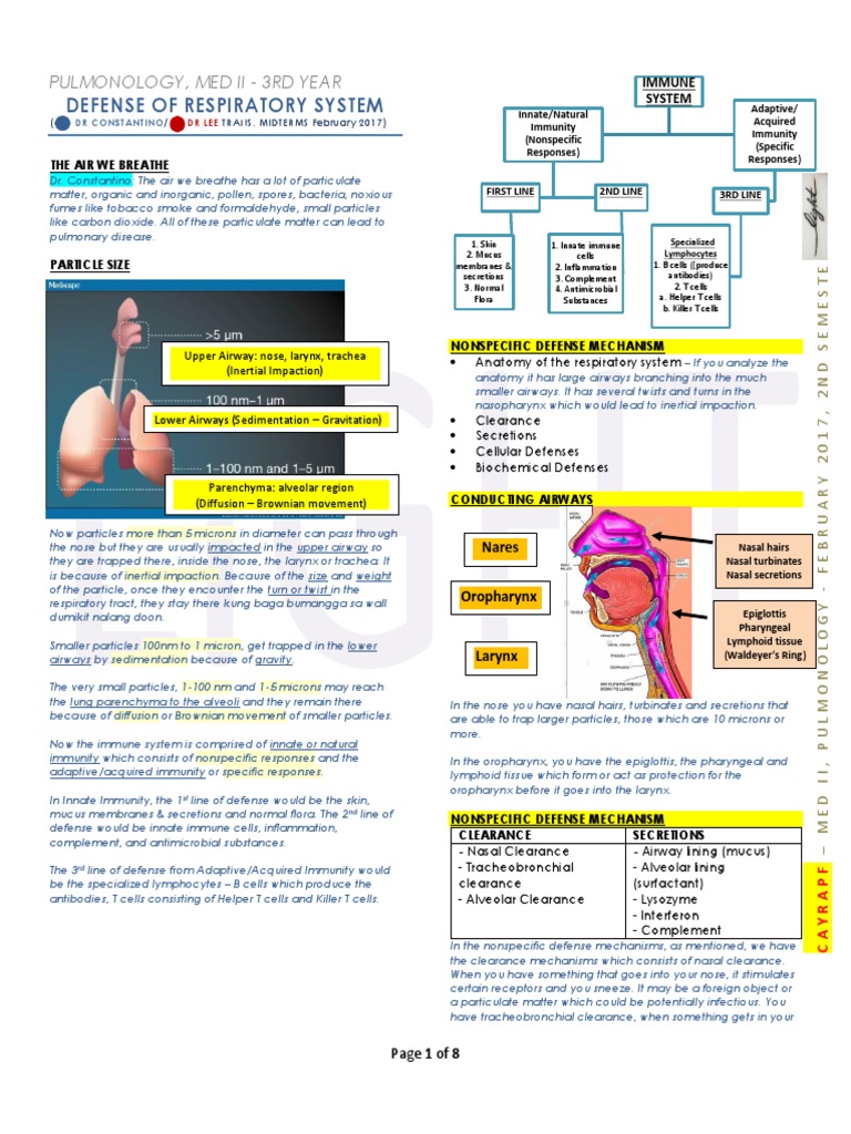 LIGHT Pulmo Defense of Respi DR Constantino | PDF | Respiratory Tract ...