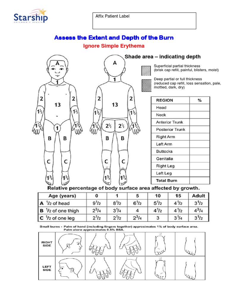 Burns Assessment Page | PDF