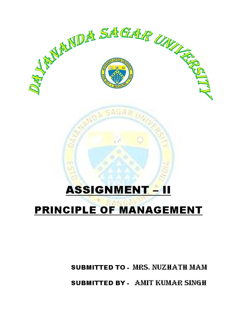 Principle of Management Assignment II | PDF