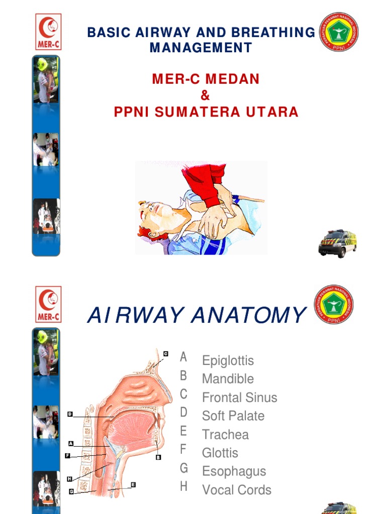 Basic Airway & Breathing Management | PDF