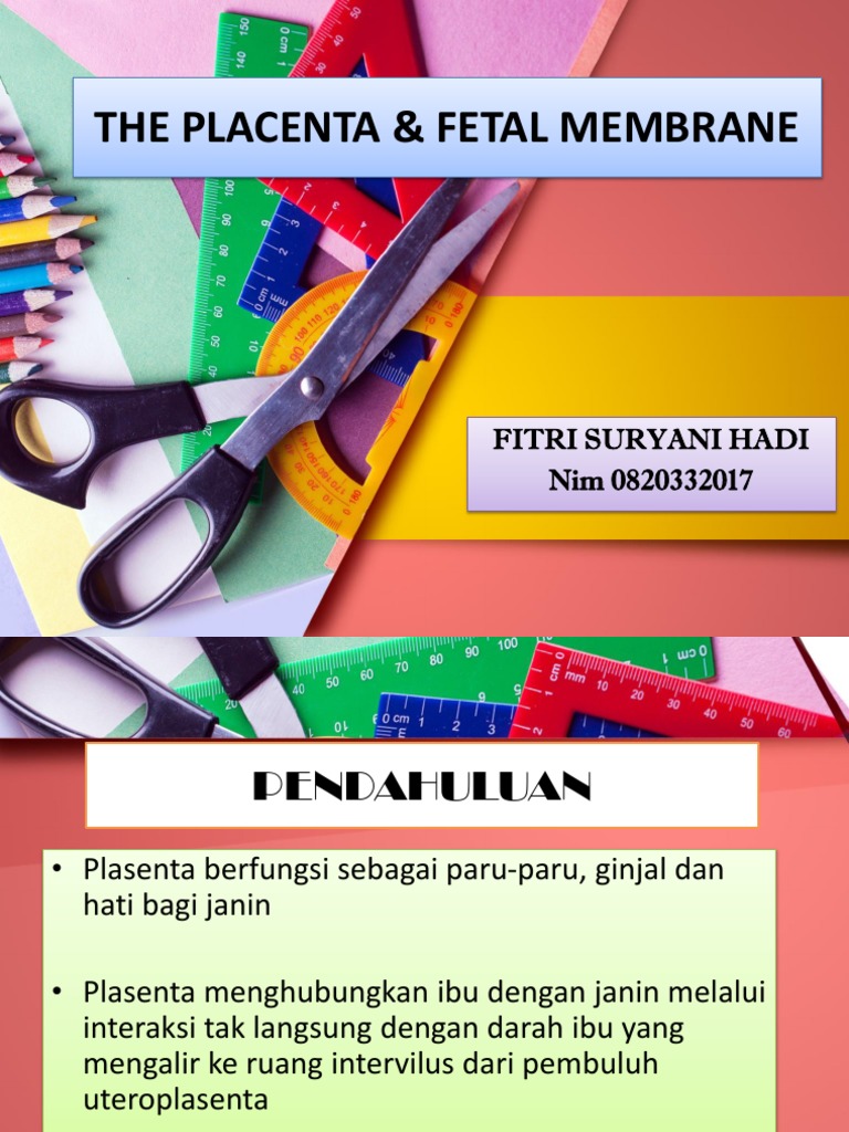 Selaput Janin Dan Plasenta | PDF