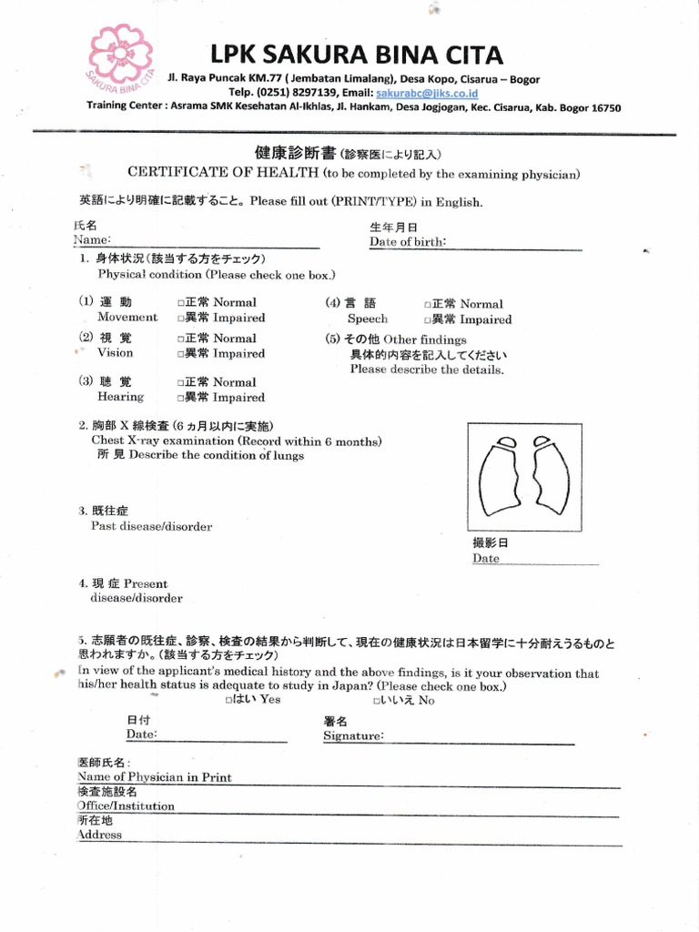 Format MCU | PDF