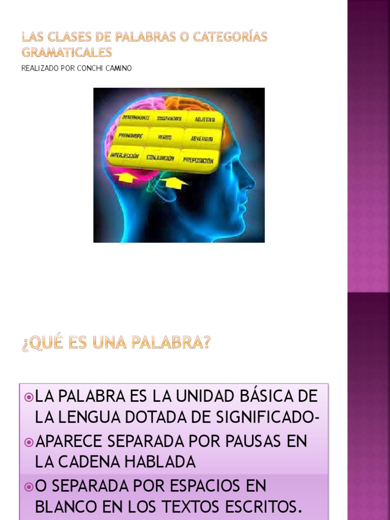 El Sustantivo 1º ESO | PDF | Numero Gramatical | Género gramatical