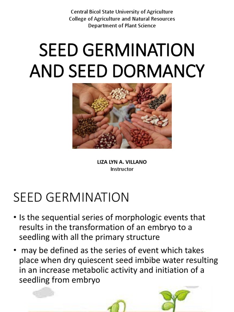 Seed Quality Control: Factors that Influence Seed Vigor and Methods for ...