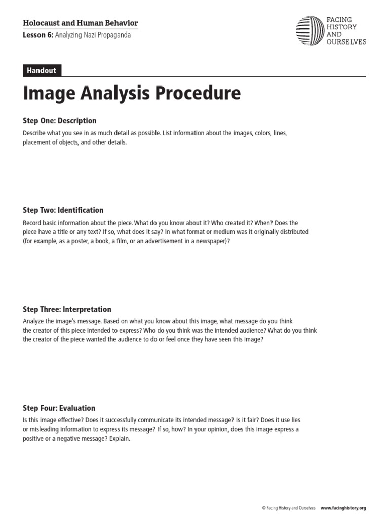 Image Analysis Procedure PDF | PDF