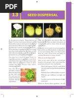 INVESTIGATORY Project - Dispersal of Seeds 1 (Final) | PDF | Seed | Fruit