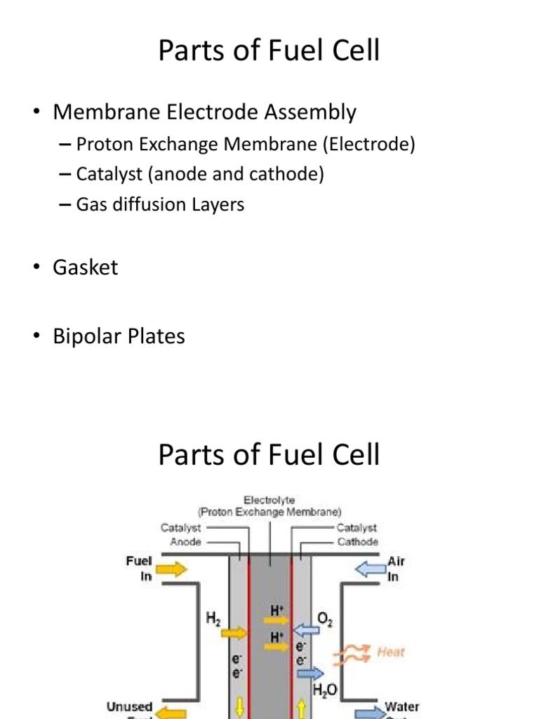 Parts of Fuel Cell: - Membrane Electrode Assembly | PDF
