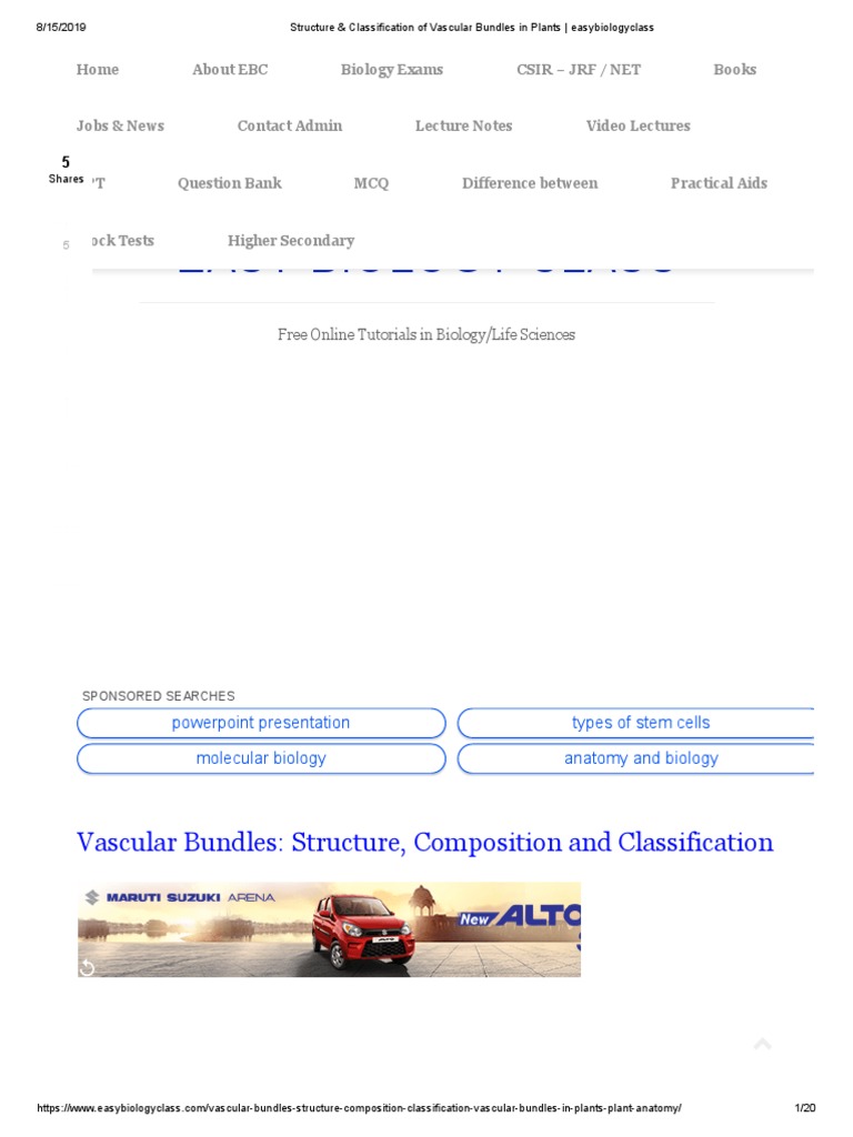 Structure & Classification of Vascular Bundles in Plants | PDF | Tissue ...