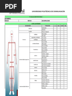Evaluacion Postural 2 | PDF | Pie | Sistema musculoesquelético
