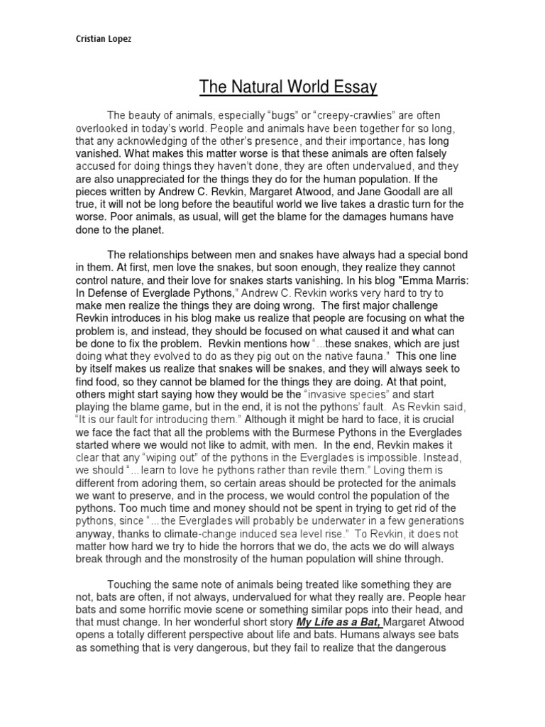 The Natural World Essay | PDF | Insects | Beetle