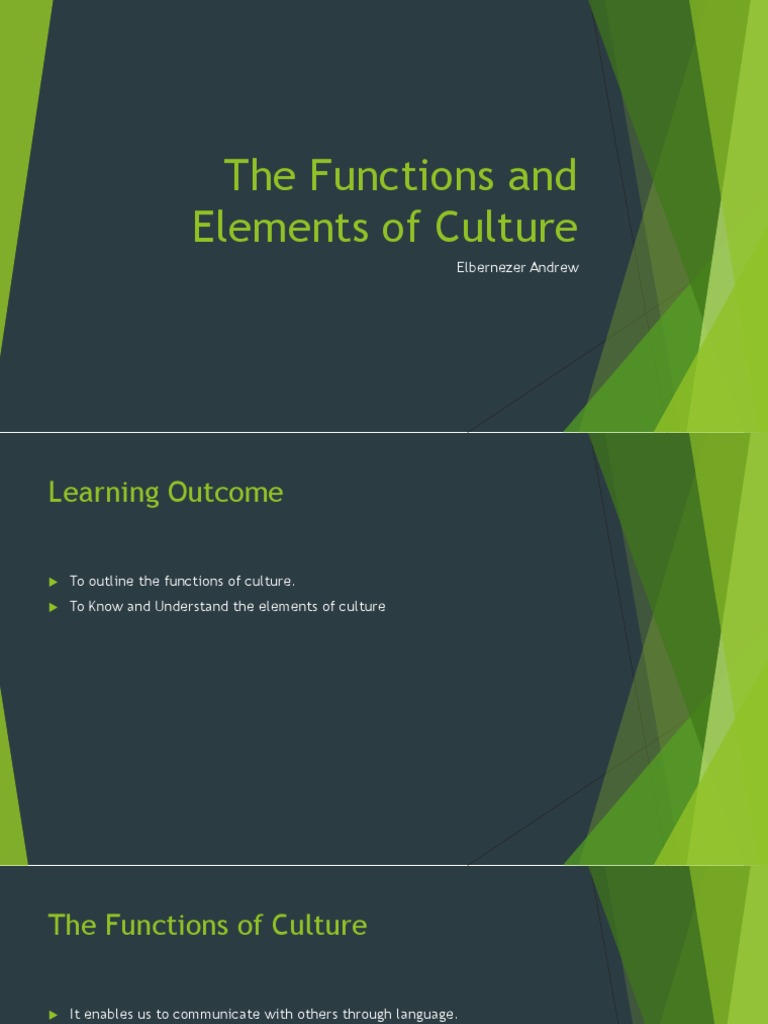 Functions and Elements of Culture Explained | PDF | Value (Ethics) | Taboo