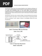 Metode Total Plate Count untuk Hitung Bakteri | PDF
