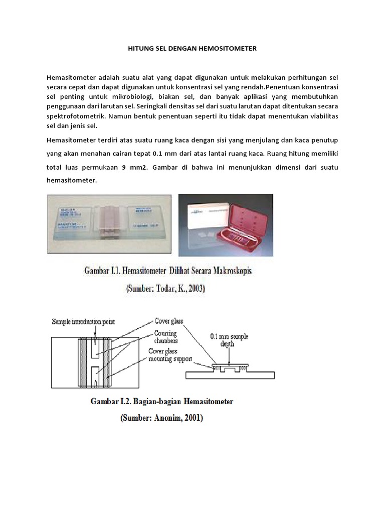 Hitung Sel Dengan Hemositometer | PDF