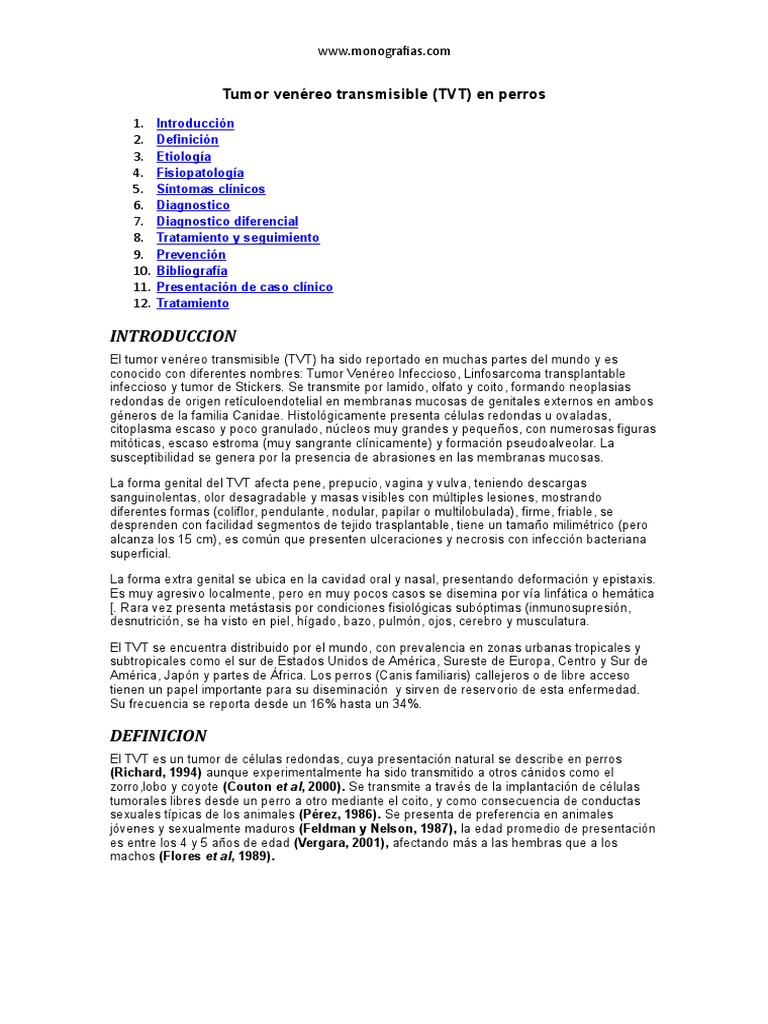 Tumor Venerio Transmisible TVT Perros | PDF | Metástasis | Perros