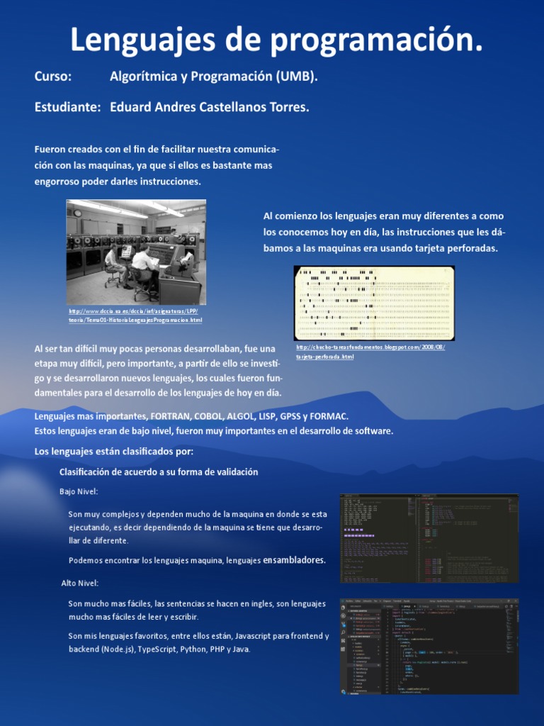 Infografía Lenguajes de Programación | PDF | Servidor web | Internet y web